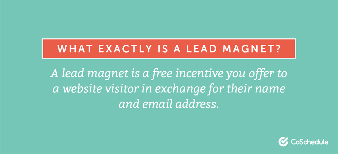 Lead Magnets: 50 Examples to Grow Your Email List